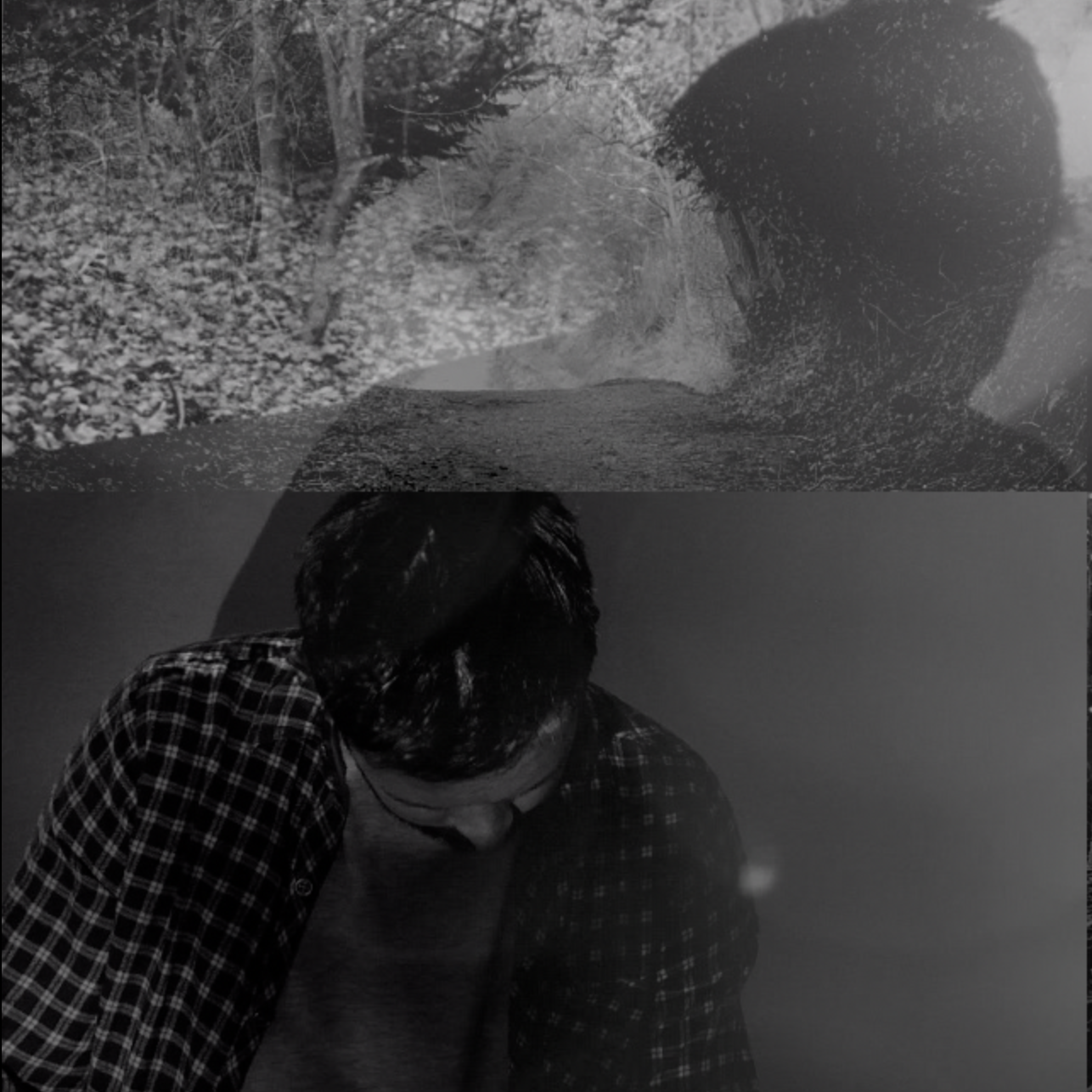 Andy Truscott - Sound and Music