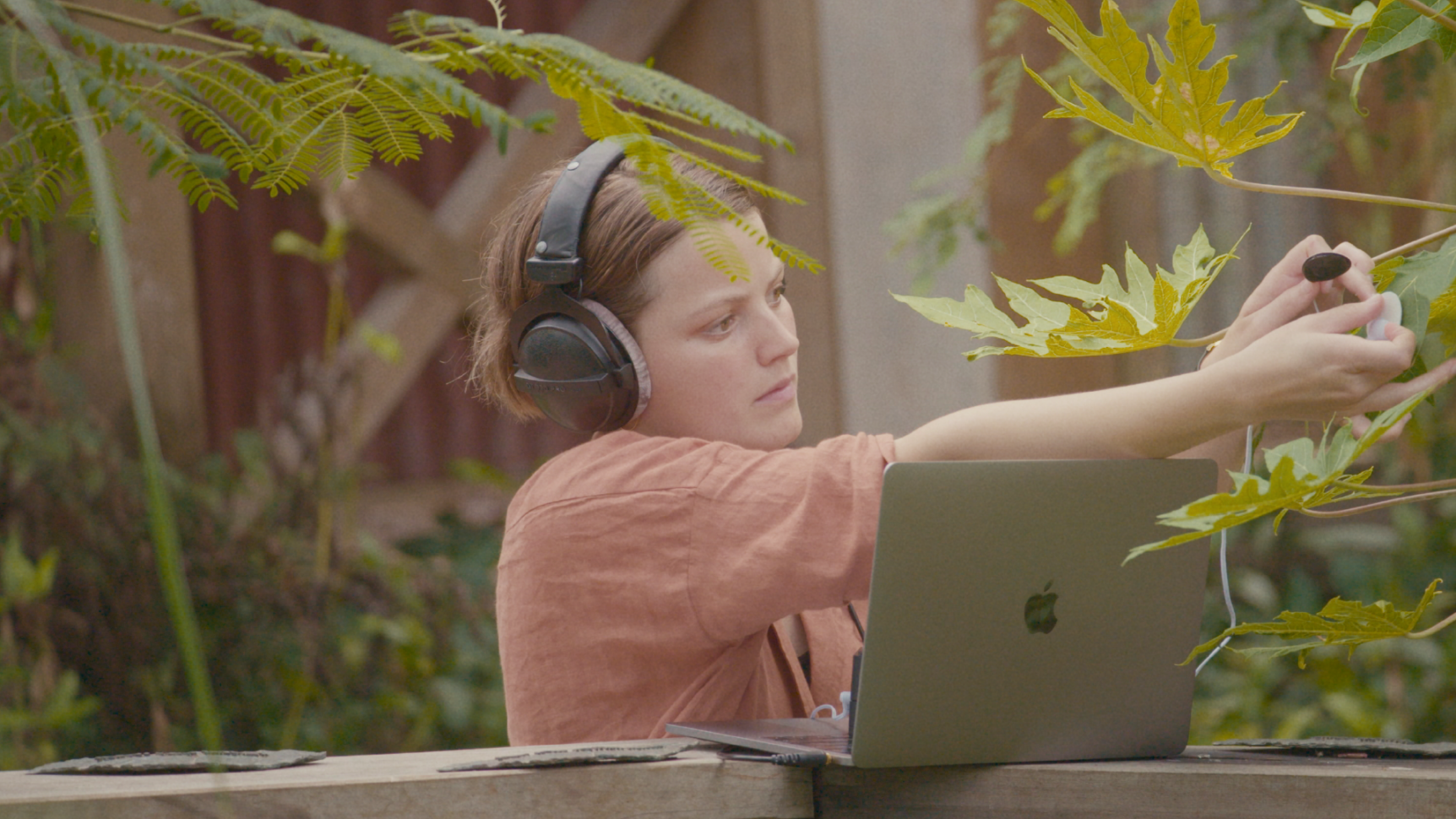 Alice Boyd - From The Understory (A film by Sound and Music) - Sound and Music